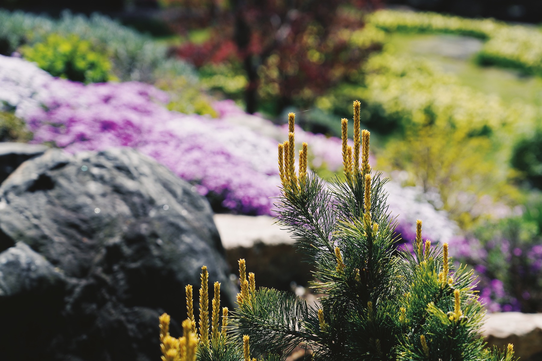 Lab Manual - LEAPH Lab @ VT